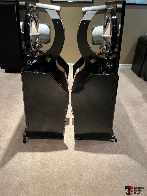 Liionidas Extreme Open Baffle Speakers by Lii Song Photo #5175460 ...