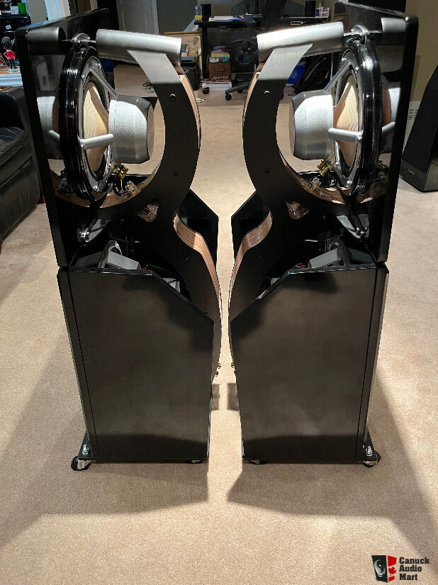 Liionidas Extreme Open Baffle Speakers by Lii Song
