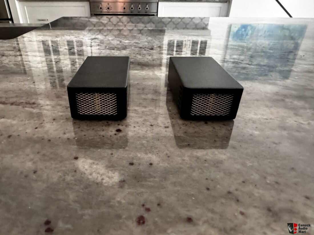 Townsend Super Tweeters For Sale - Canuck Audio Mart