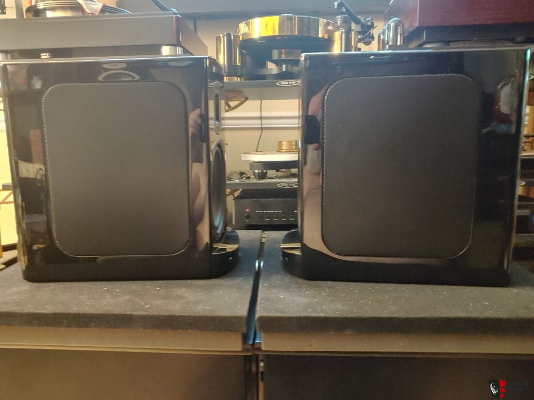 GoldenEar BRX (Bookshelf Reference X) Photo #5226140 - Canuck Audio Mart