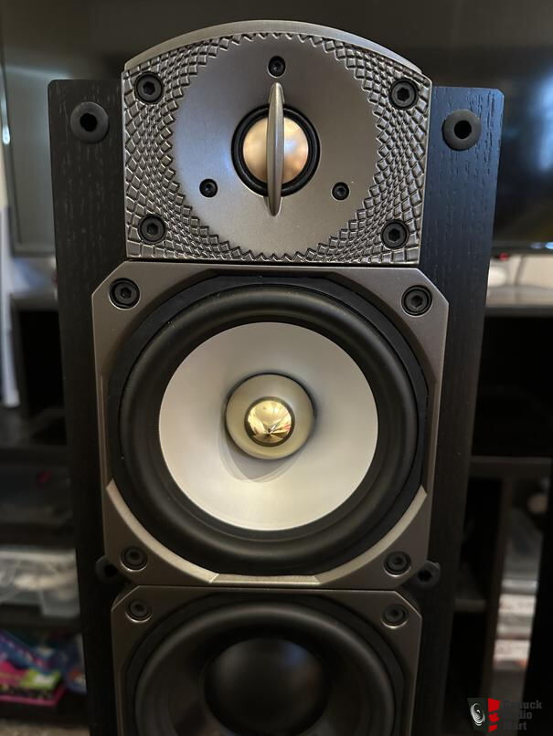 Paradigm Studio 60 v5 (Pair) in Black Ash Photo #5232449 - Canuck Audio ...