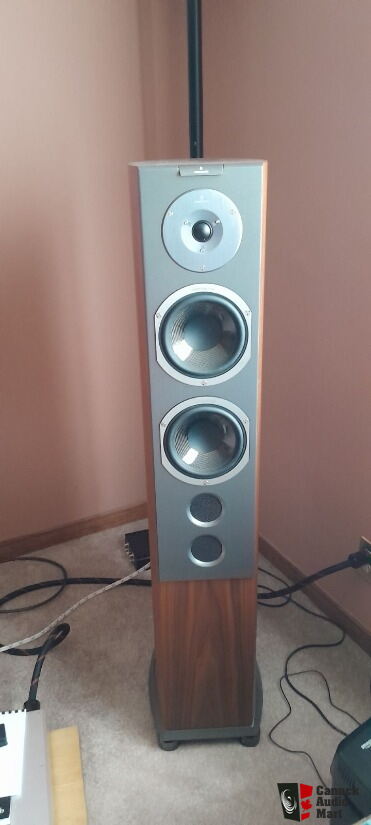Audiovector R6 Signature Speakers Photo #5237360 - Canuck Audio Mart