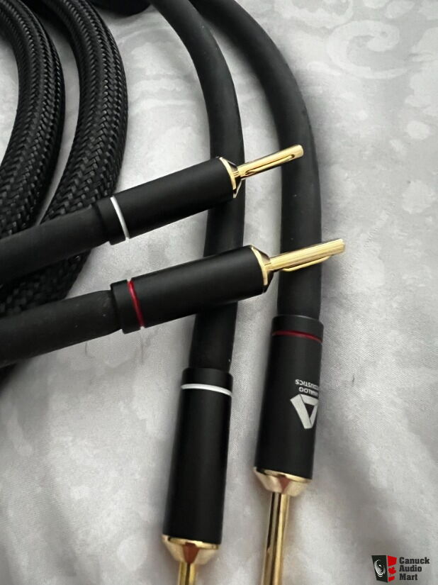 analog acoustics shotgun speaker cables 8 feet Photo #5237423 - UK ...