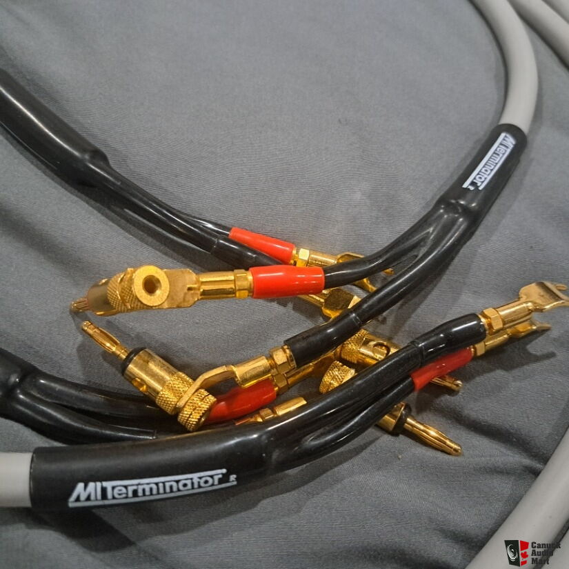 MIT -2 speaker cables Photo #5238865 - US Audio Mart