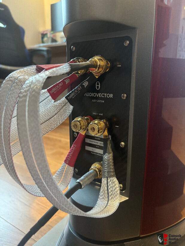 Audiovector R6 Arrete - Gorgeous-Looking and Sublime-Sounding Photo ...