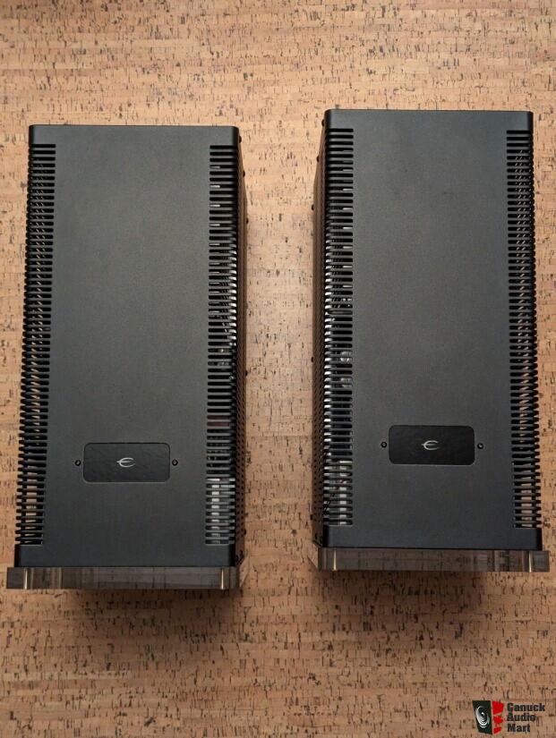 Electrocompaniet AW 180 Monoblocks For Sale - Canuck Audio Mart