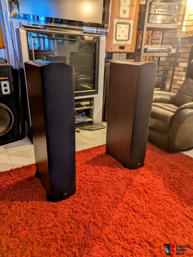 Paradigm Studio 60v3 Reference speakers Photo #5254521 - Canuck Audio Mart