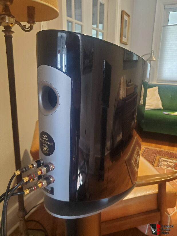Paradigm Persona B speakers Photo #5255542 - US Audio Mart