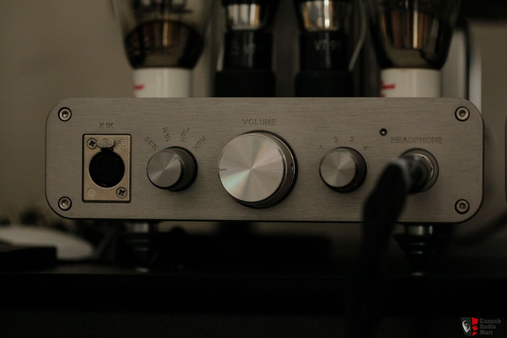 Woo Audio WA5 Headphone Amp with all upgrades Photo #525980 - Canuck ...