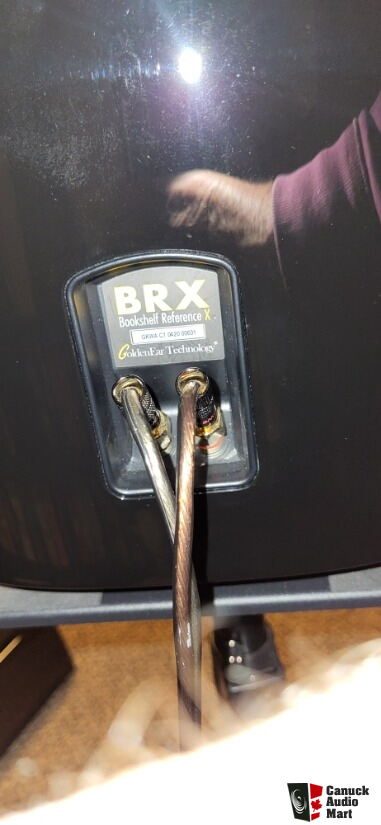GoldenEar BRX Photo #5266204 - US Audio Mart