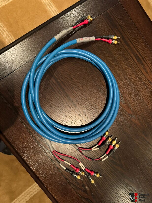 Cardas Quadlink 5c Speaker Cables Photo #5267789 - Canuck Audio Mart