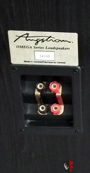 Angstrom Audiophile Grade Tower Speakers Photo #526906 - US Audio Mart