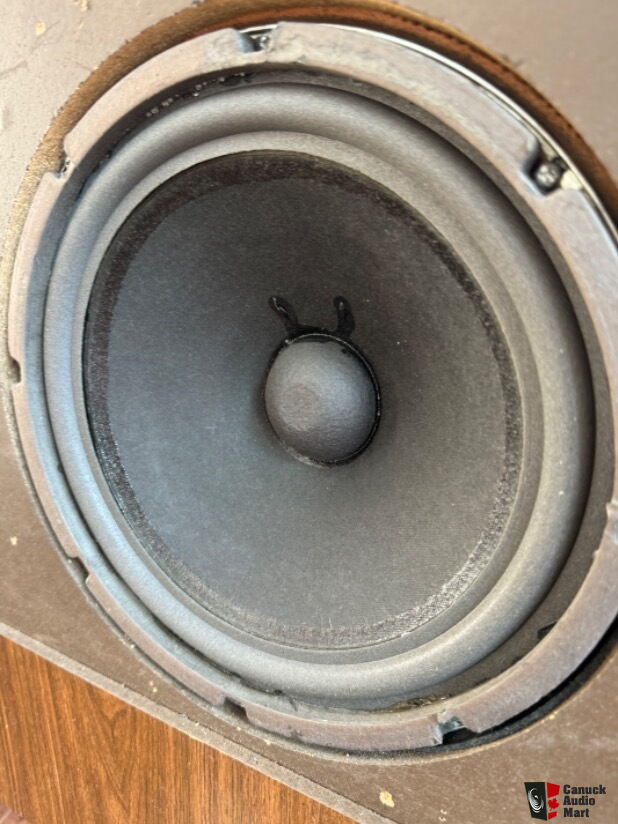 Bose Model 501 Speakers