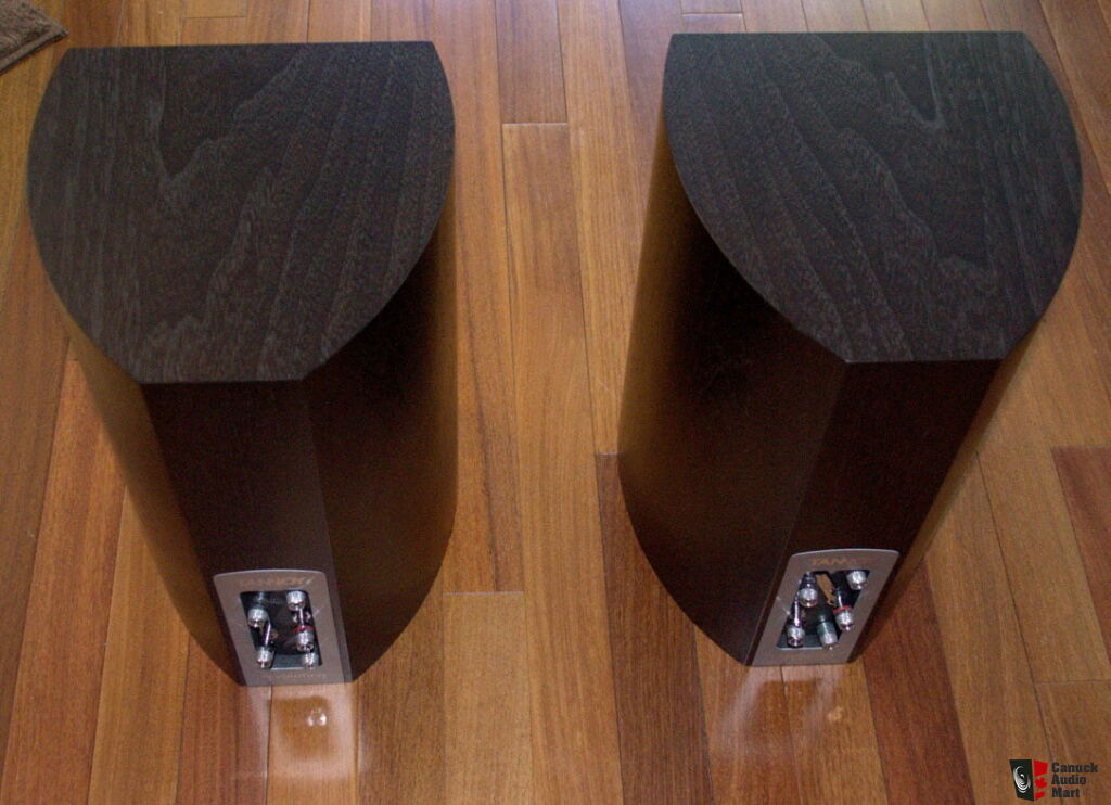 Tannoy Revolution Signature DC6 Bookshelf Speakers Photo #527475 ...