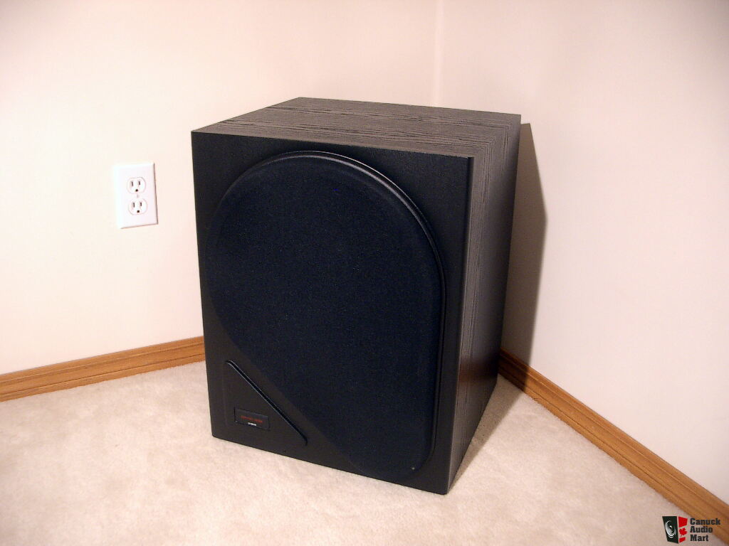 D-BOX DAVID 302 12" Amplified Subwoofer Photo #527484 - US Audio Mart