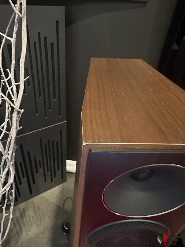 Paradigm Founder 100F speakers (pair) Photo #5276391 - UK Audio Mart