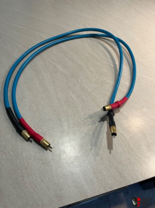 Cardas QuadLink 5c Photo #5468819 - Canuck Audio Mart
