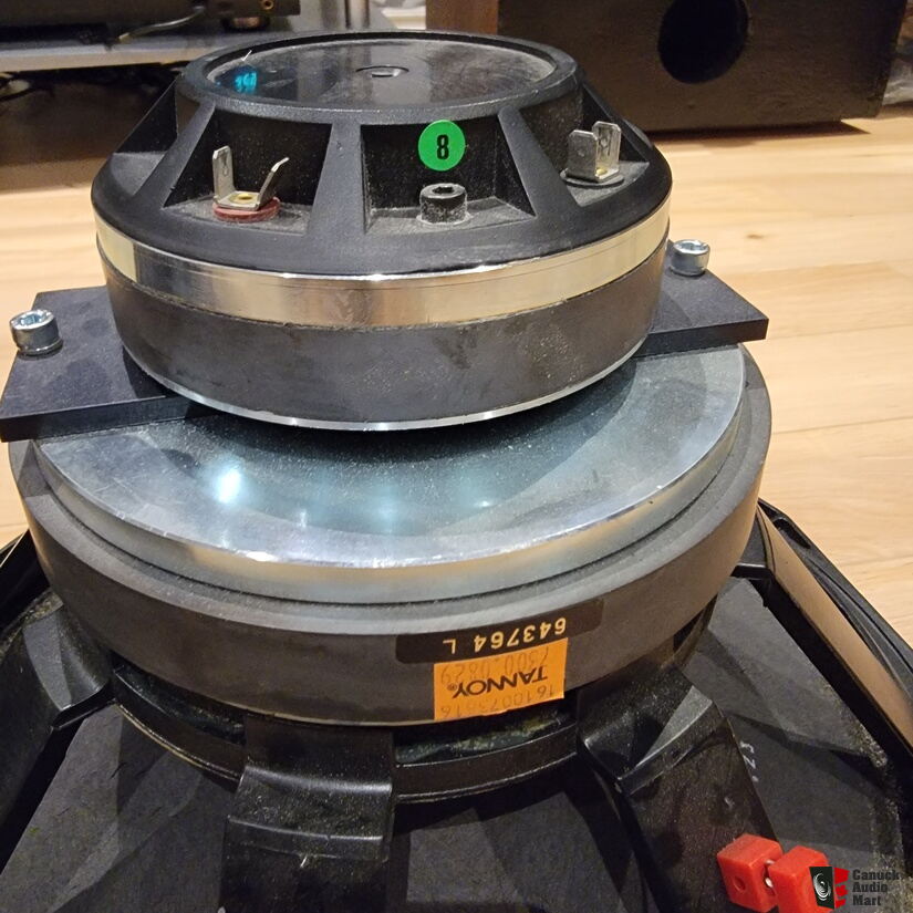 Tannoy Two Drivers V15 15" Speakers Photo #5294035 - Canuck Audio Mart