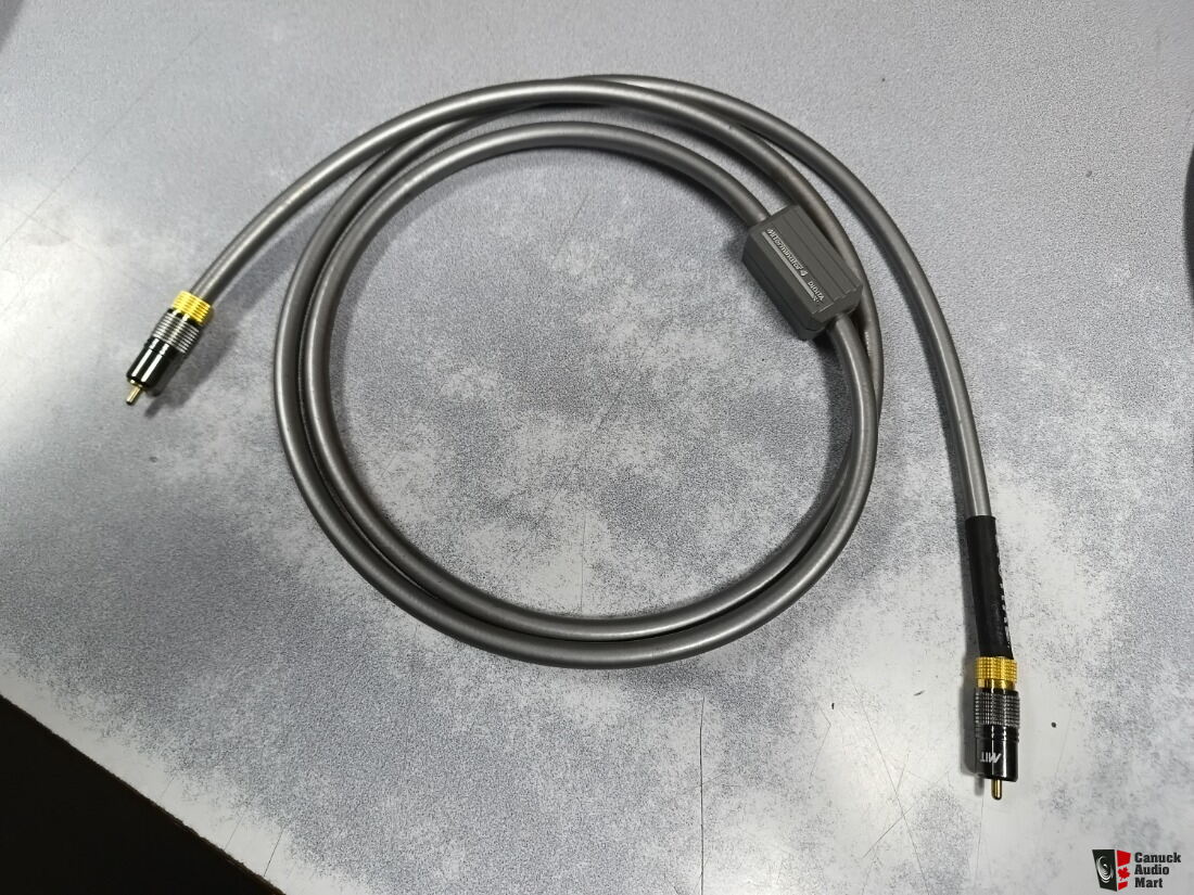 MIT Terminator 4 Digital RCA For Sale - Canuck Audio Mart