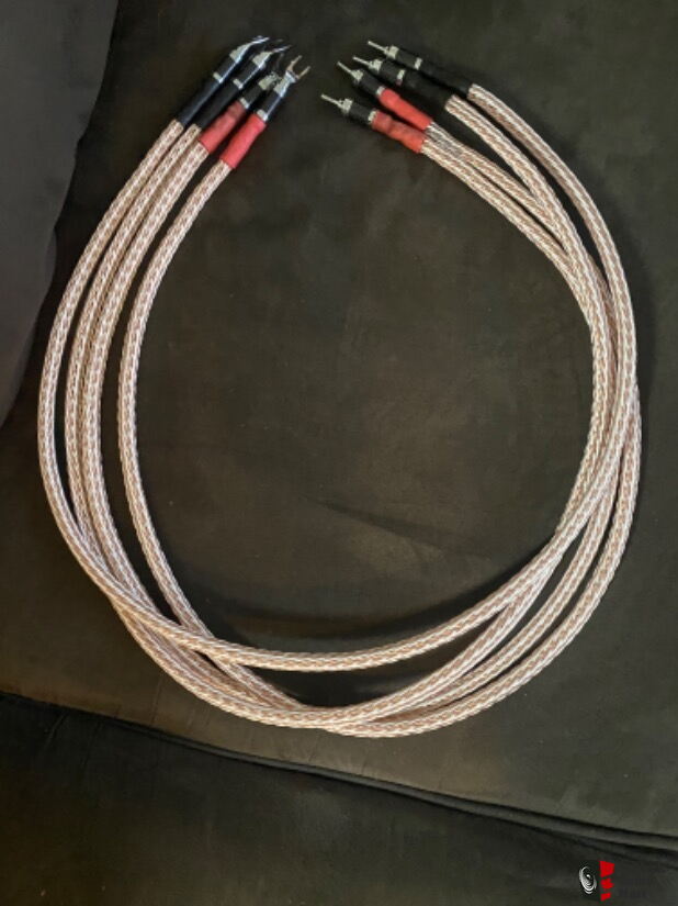 Speaker cable 6 awg to each post
