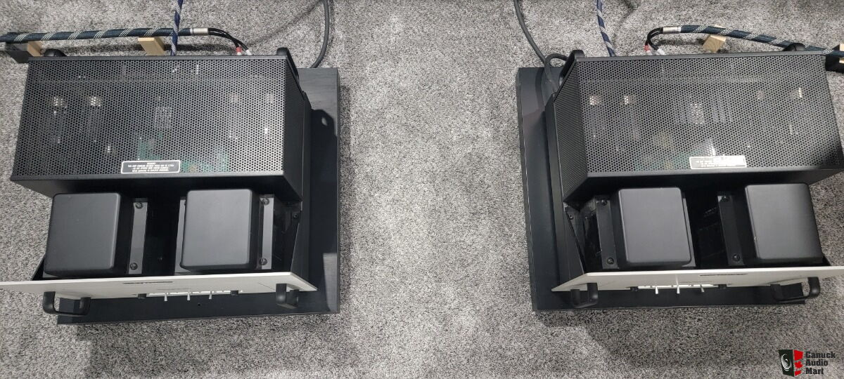 Audio research classic 150 monoblock Photo #5323180 - US Audio Mart