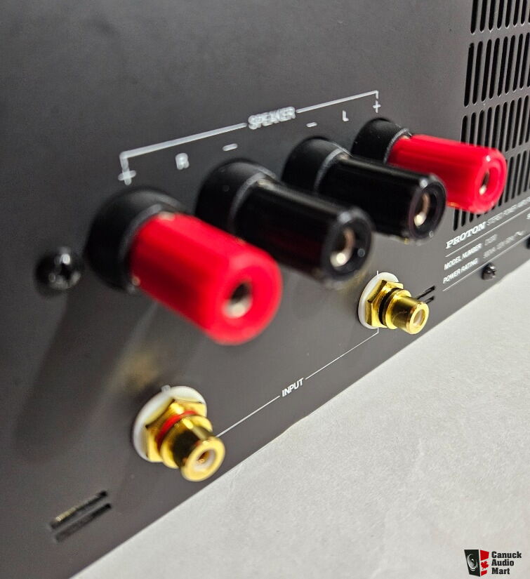 Recapped & Serviced Proton D1200 Power Amp Photo #5325575 - Canuck ...