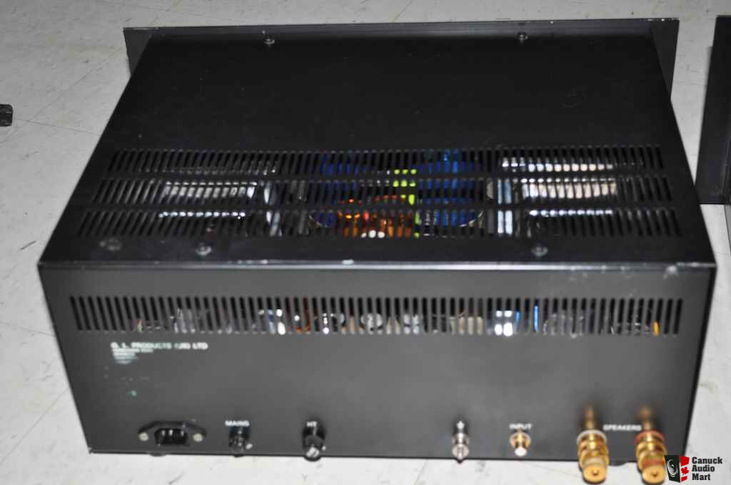RAY LUMLEY M100 tube monoblocks