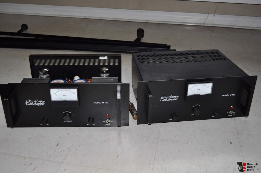 RAY LUMLEY M100 tube monoblocks Photo #532796 - US Audio Mart