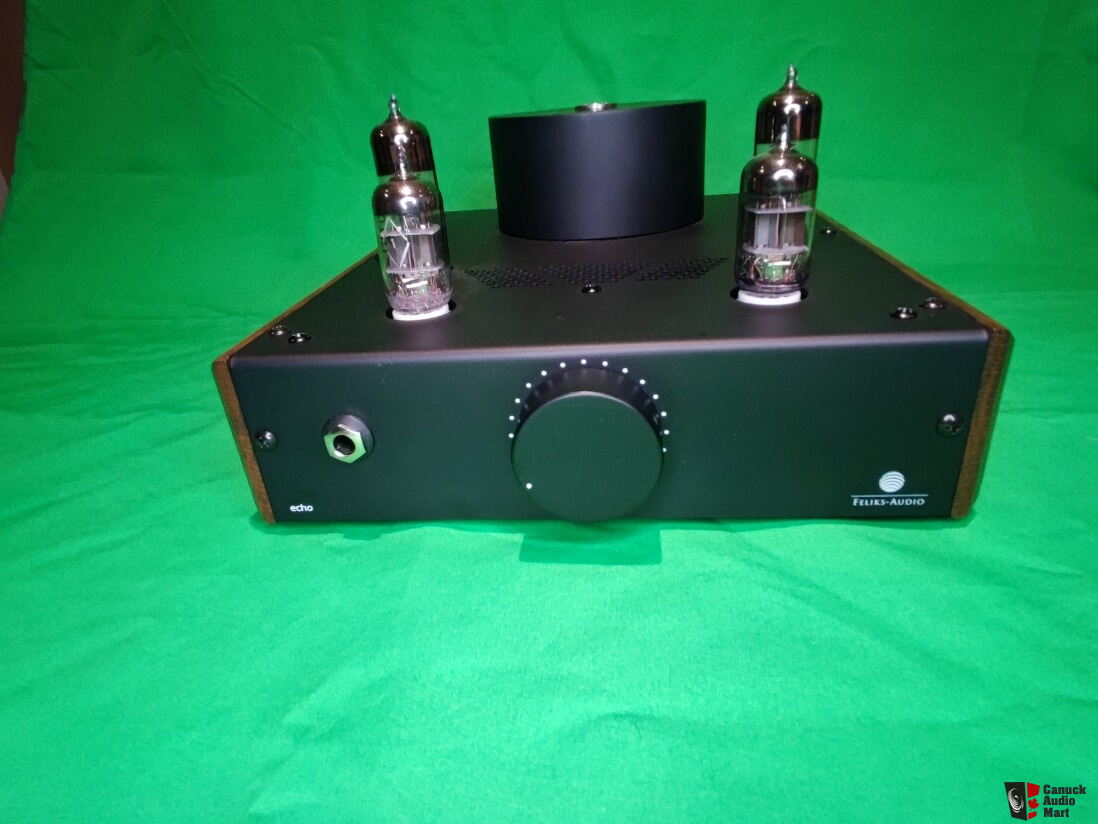 Feliks Echo Tube Amp For Sale - UK Audio Mart