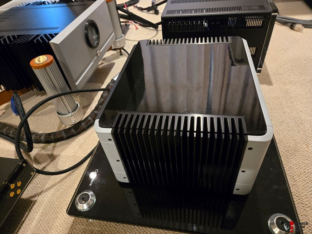 PS Audio BHK Signature 300 Monoblock Power Amp (2pc, Silver) Photo ...