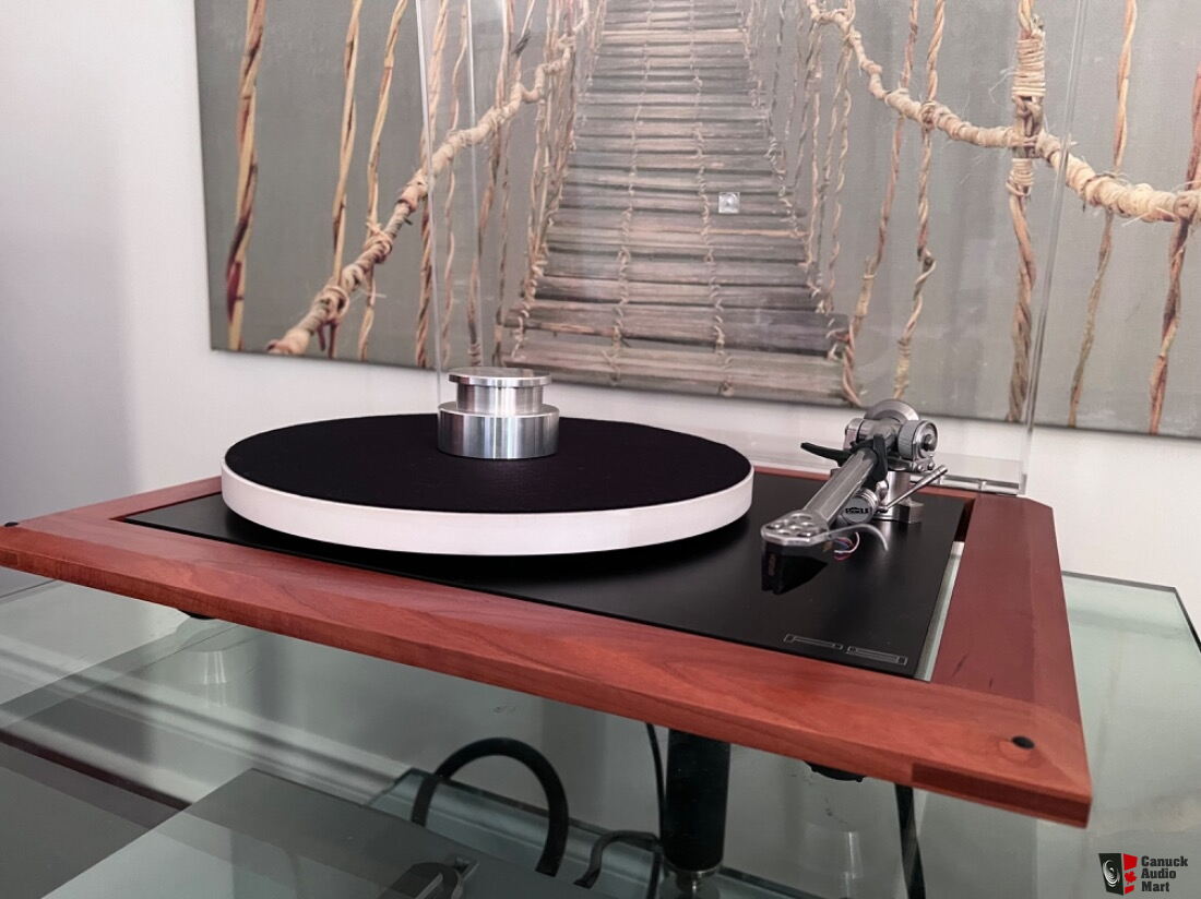 Rega p9 Photo #5338475 - Canuck Audio Mart