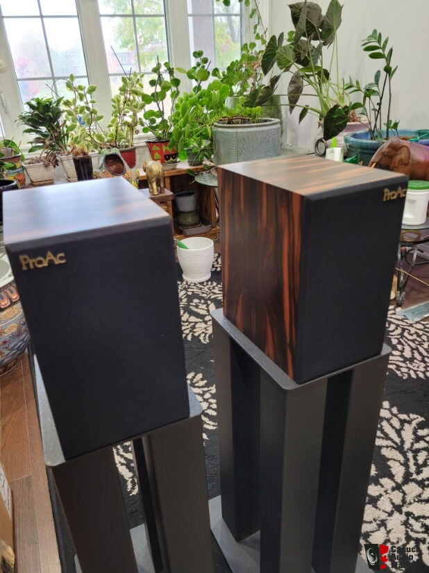 ProAc Tablette 50 special edition Photo #5350919 - US Audio Mart