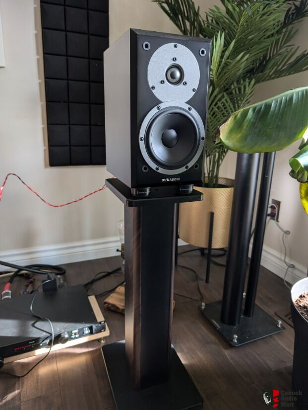 Dynaudio M10 speakers $500 obo Photo #5351780 - Canuck Audio Mart