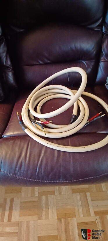 MIT MH 750 Music Hose speakers cables Photo #5354869 - Canuck Audio Mart