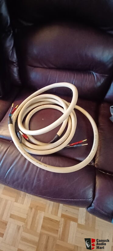 MIT MH 750 Music Hose speakers cables Photo #5354870 - Canuck Audio Mart