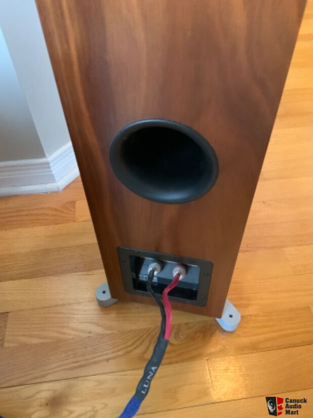 Dynaudio Excite X34 Photo #5361809 - Canuck Audio Mart