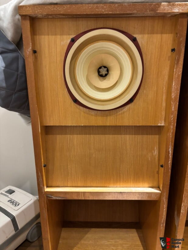 Coral beta 8 Photo #5363027 - Canuck Audio Mart