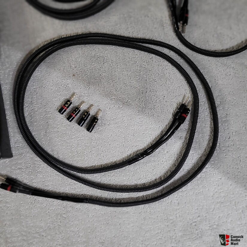 Audioquest Rocket 44 Speaker Cable LCR Photo #5364237 - Canuck Audio Mart