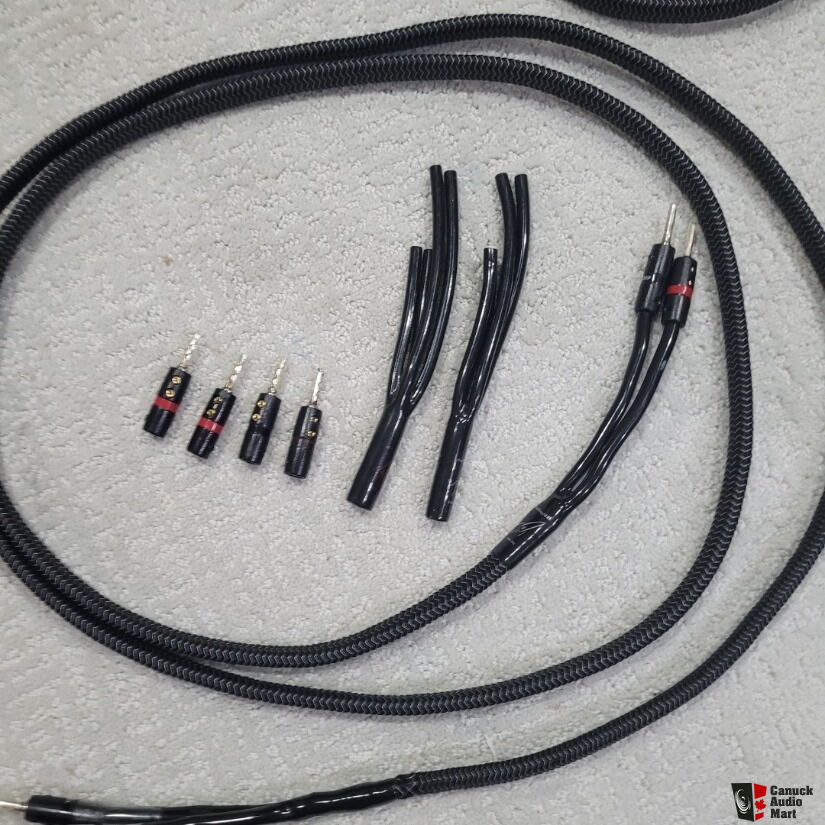 Audioquest Rocket 44 Speaker Cable LCR Photo #5364241 - Canuck Audio Mart