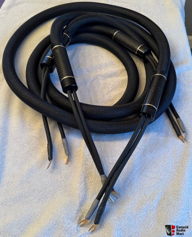 Shunyata Alpha V2 Photo #5369389 - US Audio Mart