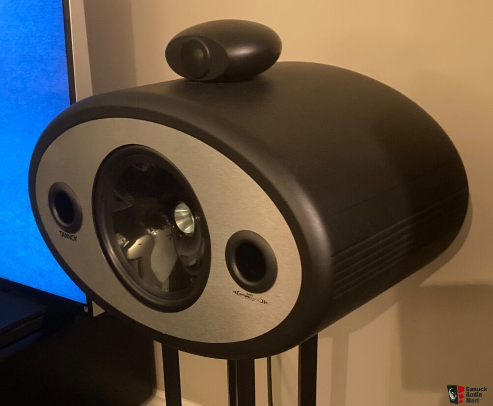 Tannoy Ellipse For Sale - Canuck Audio Mart