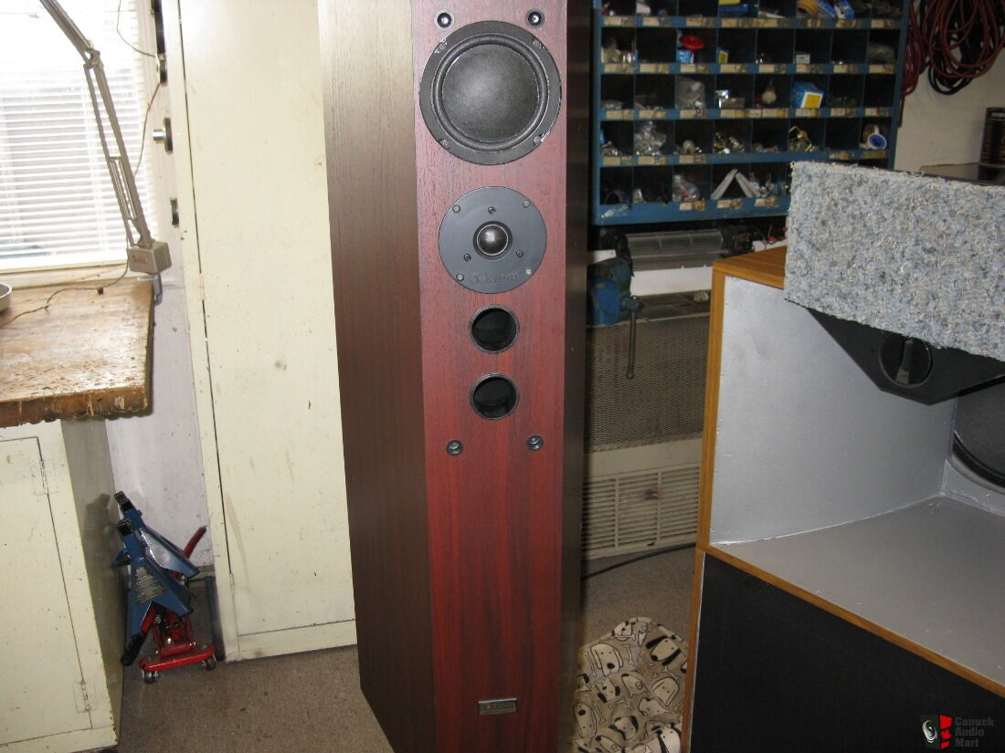 Axiom AX5 Reference monitor Photo #5372288 - Canuck Audio Mart