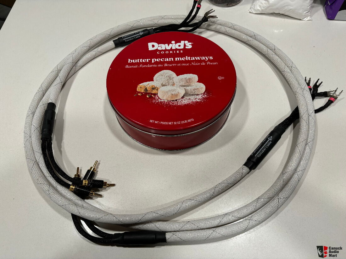 Wywires Platinum Speaker Cables 8ft For Sale - US Audio Mart