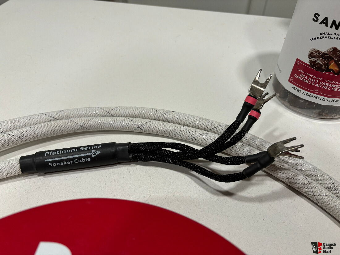 Wywires Platinum Speaker Cables 8ft