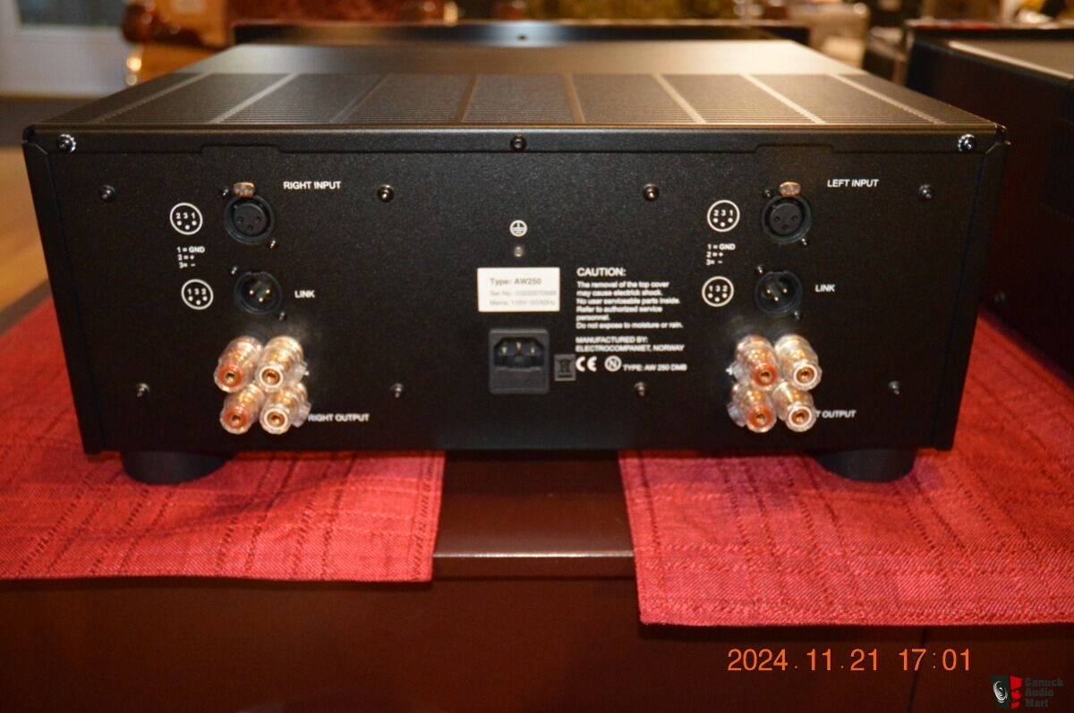 ElectroCompaniet AW 250 R mono power amps Photo #5382734 - Canuck Audio ...