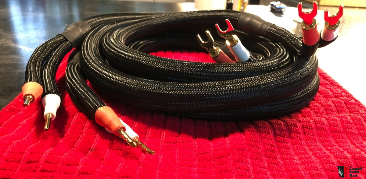 NRG Speaker Cables - The Six - 10 ft, Heavy Copper speaker cable Photo ...