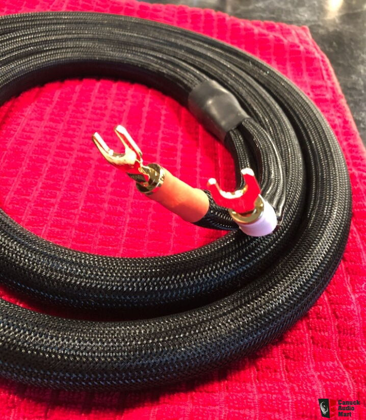 NRG Speaker Cables - The Six - 10 ft, Heavy Copper speaker cable Photo ...