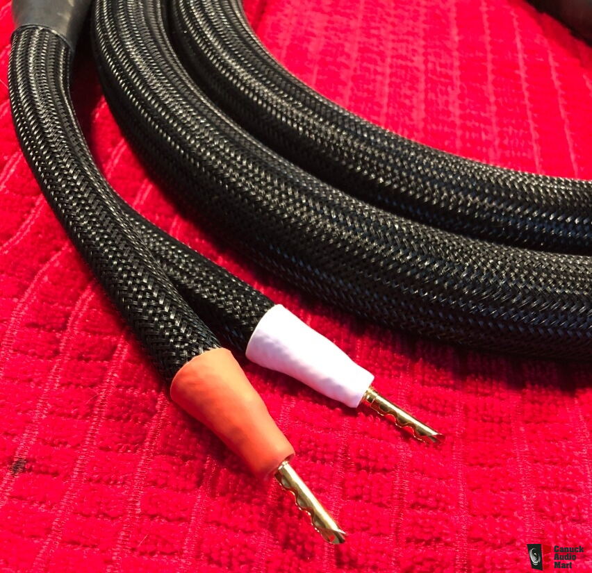 SALE PENDING ....... NRG Speaker Cables - The Six - 8 ft, Heavy Copper ...