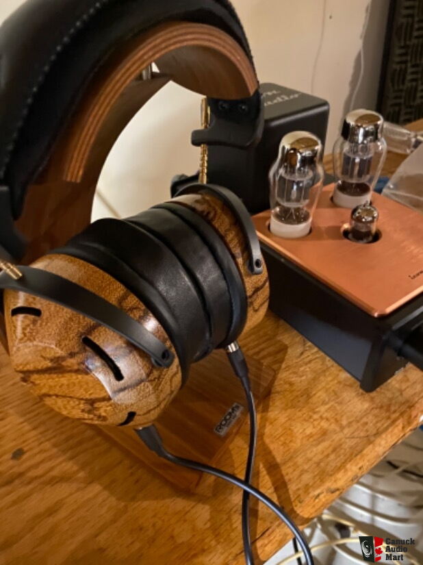 Zmf Atticus headphones (premium upgrade zebrano )