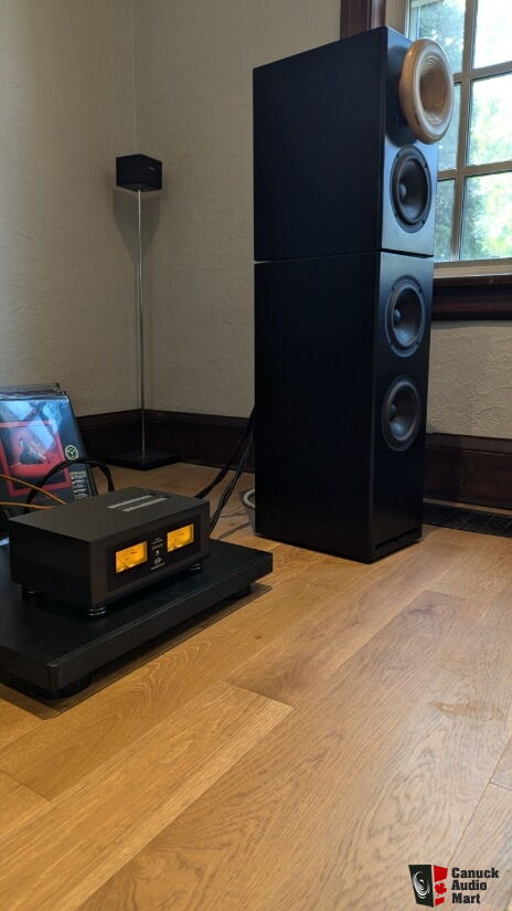 Senna Sound Onyx amplifier Photo #5384833 - UK Audio Mart